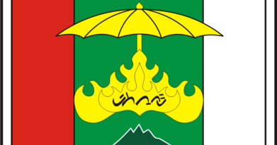 Arti Dan Makna Gambar Logo Lambang Kabupaten Pesawaran | Ragam Budaya