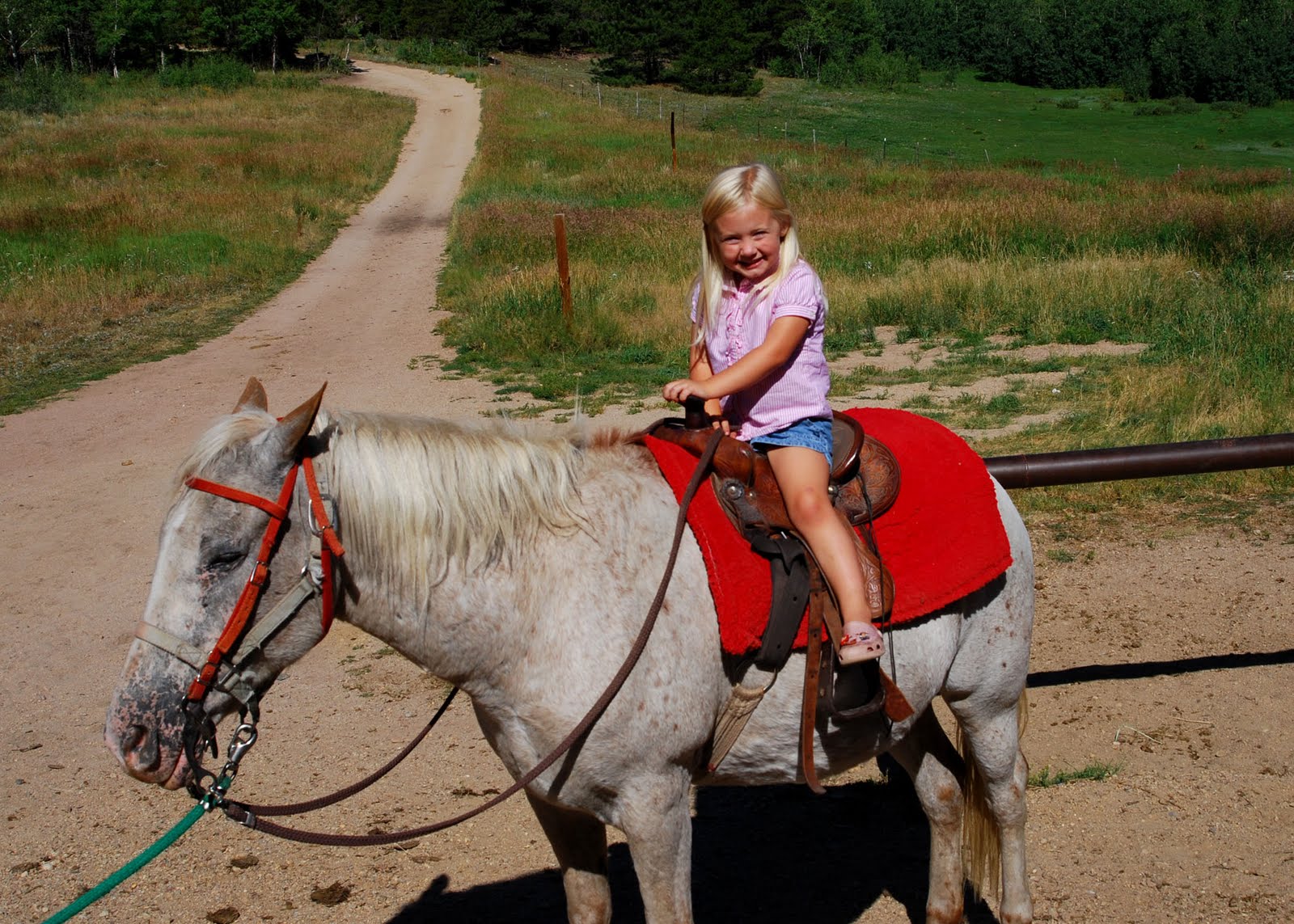 Magnolia and Boothe: Lane Guest Ranch