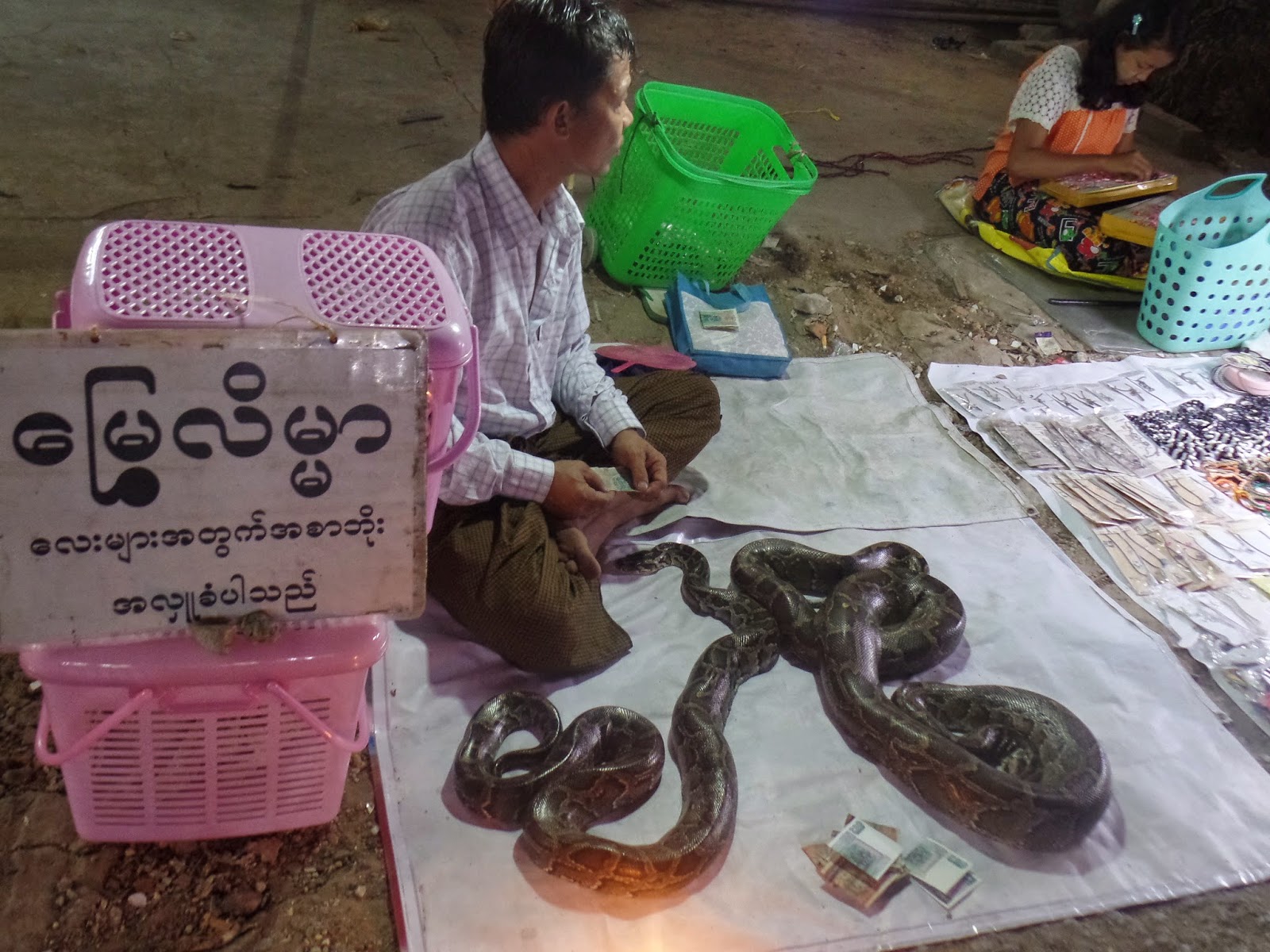 Nyain Chan Kabar The Peace World: Snake Money, Myanmar