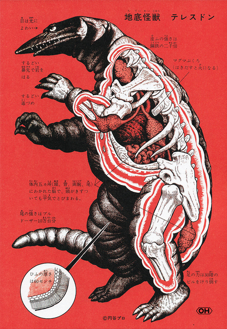 Flyer Goodness: Japanese Monster Anatomy