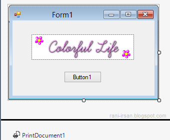 VB.NET: Printing Image with PrintDocument Control
