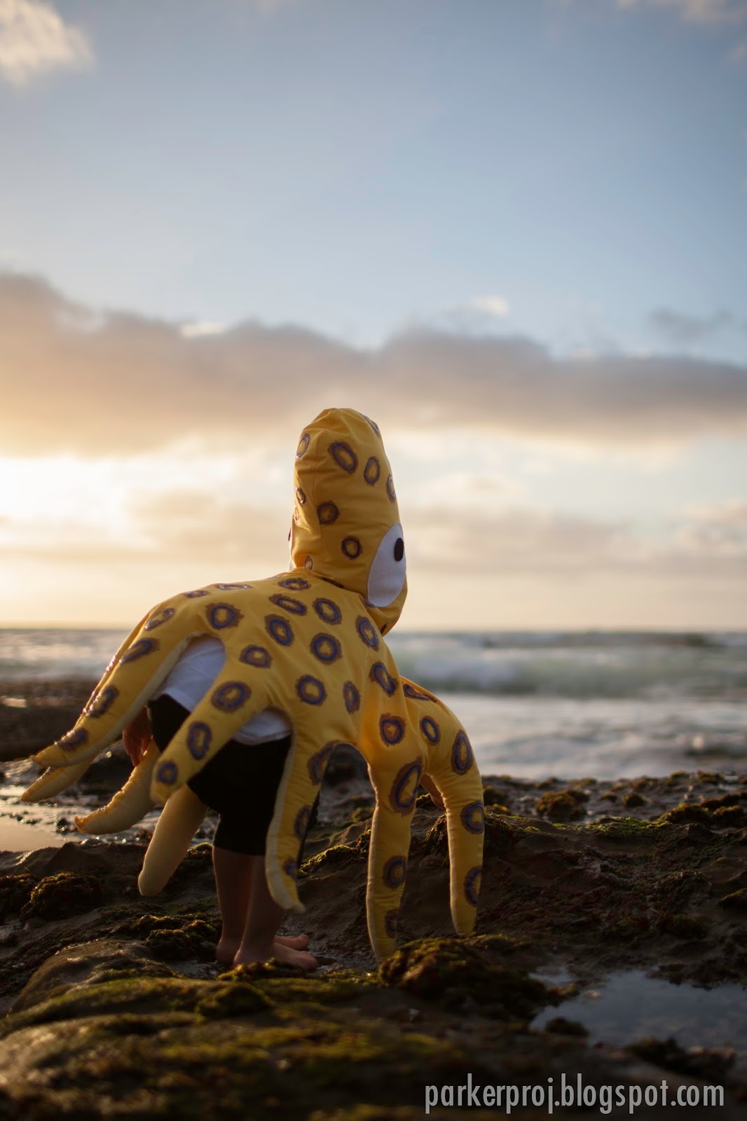 The Parker Project: Epic Octopus Costume Photos and Instructions