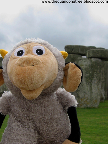 The Quandong Tree: Wiley!