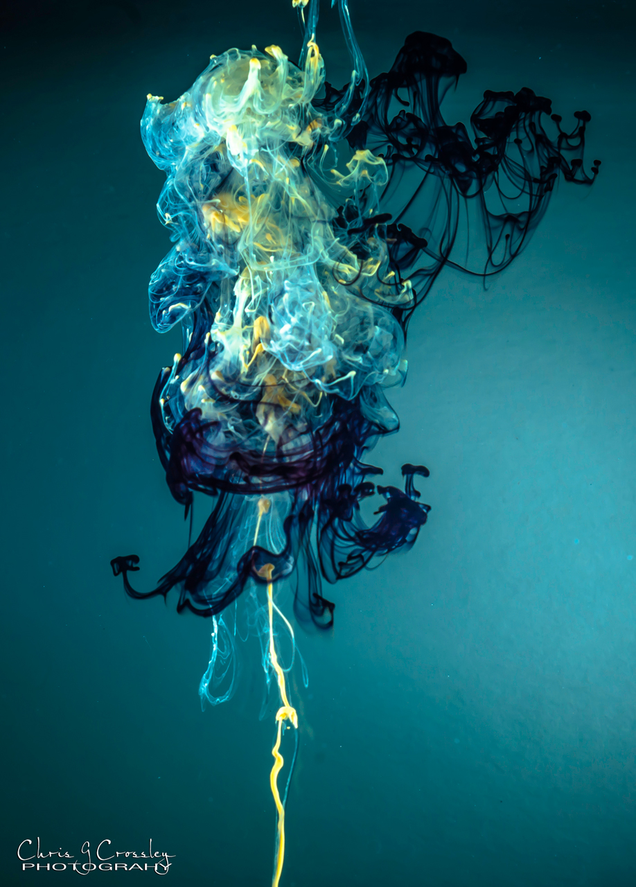 Ink and Milk | Goldfields Image Makers