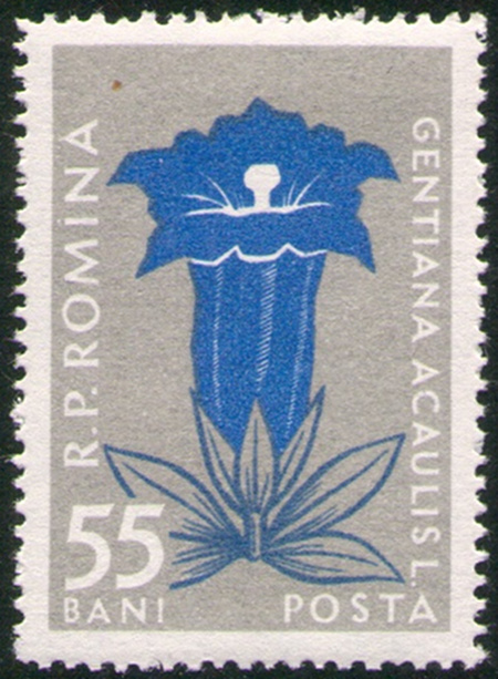 Timbre filatelice: Timbre filatelice cu flori din muntii Carpati