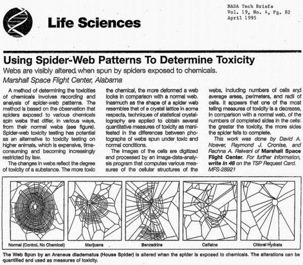 All This Is That: Spiders on drugs, spinning webs