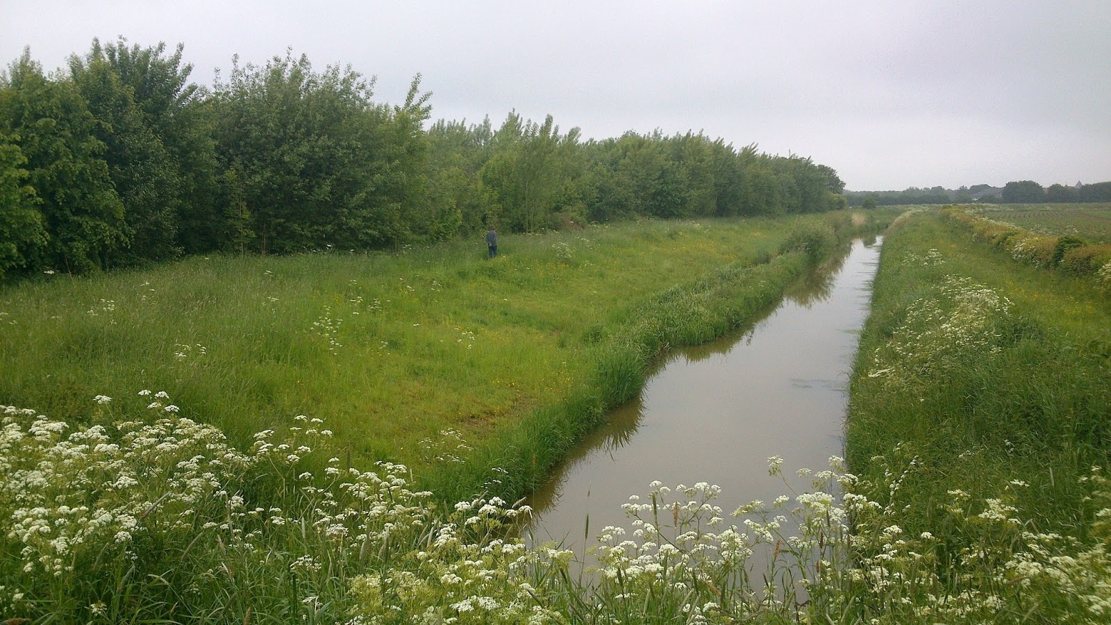 Remco's pedalenverhalen en meer: Een Cetti's zanger bij Lunen (Gld ...