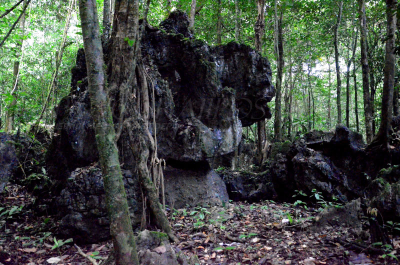 Batu Karang - Beduai, Misteri Keajaiban Alam - pancurajipost