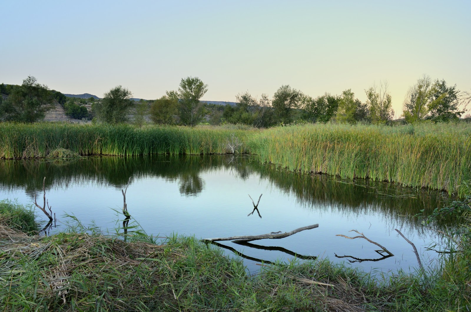 Reserva natural de Sebes- Flix