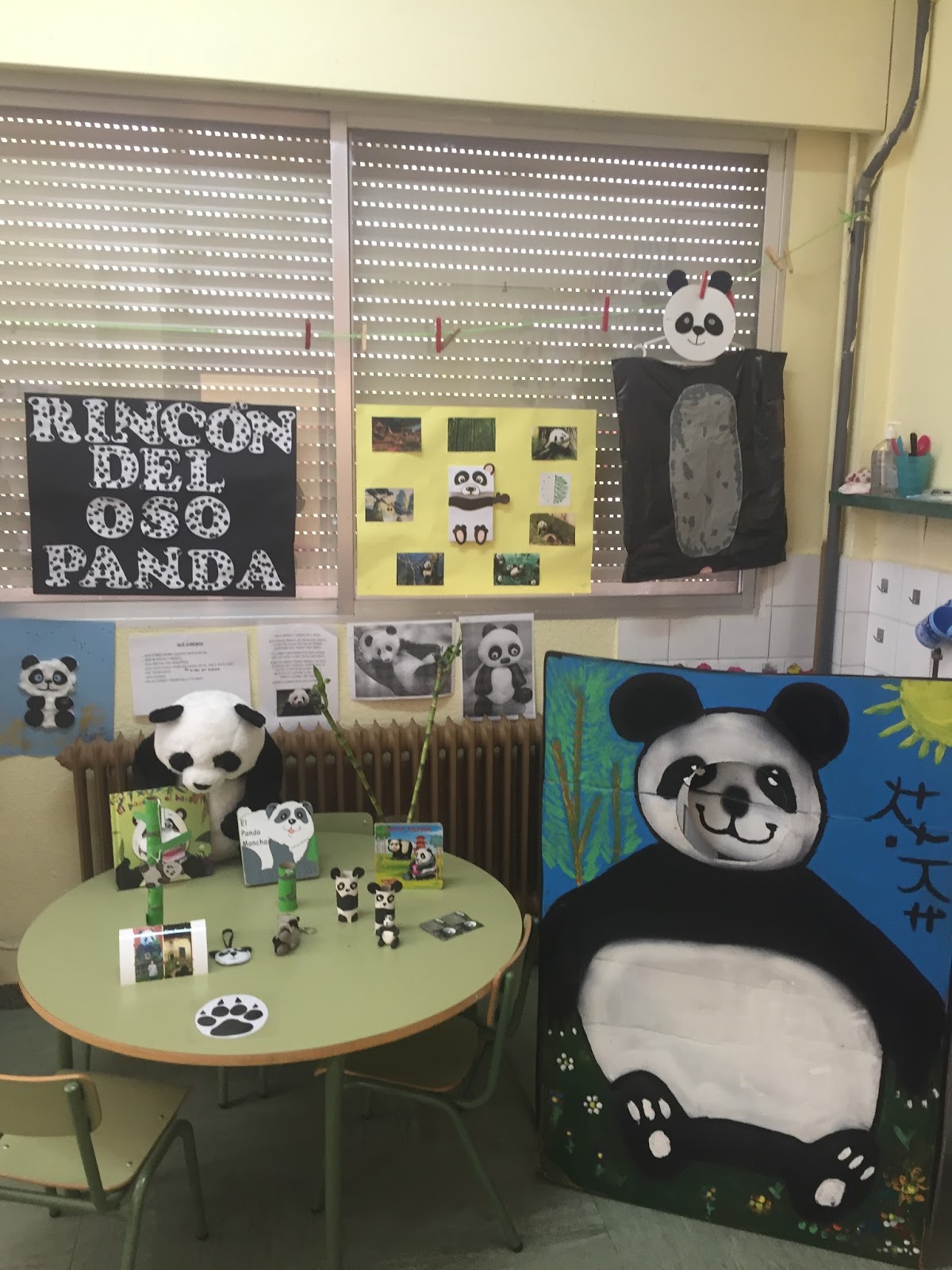 CLASE DE LOS OSOS PANDAS
