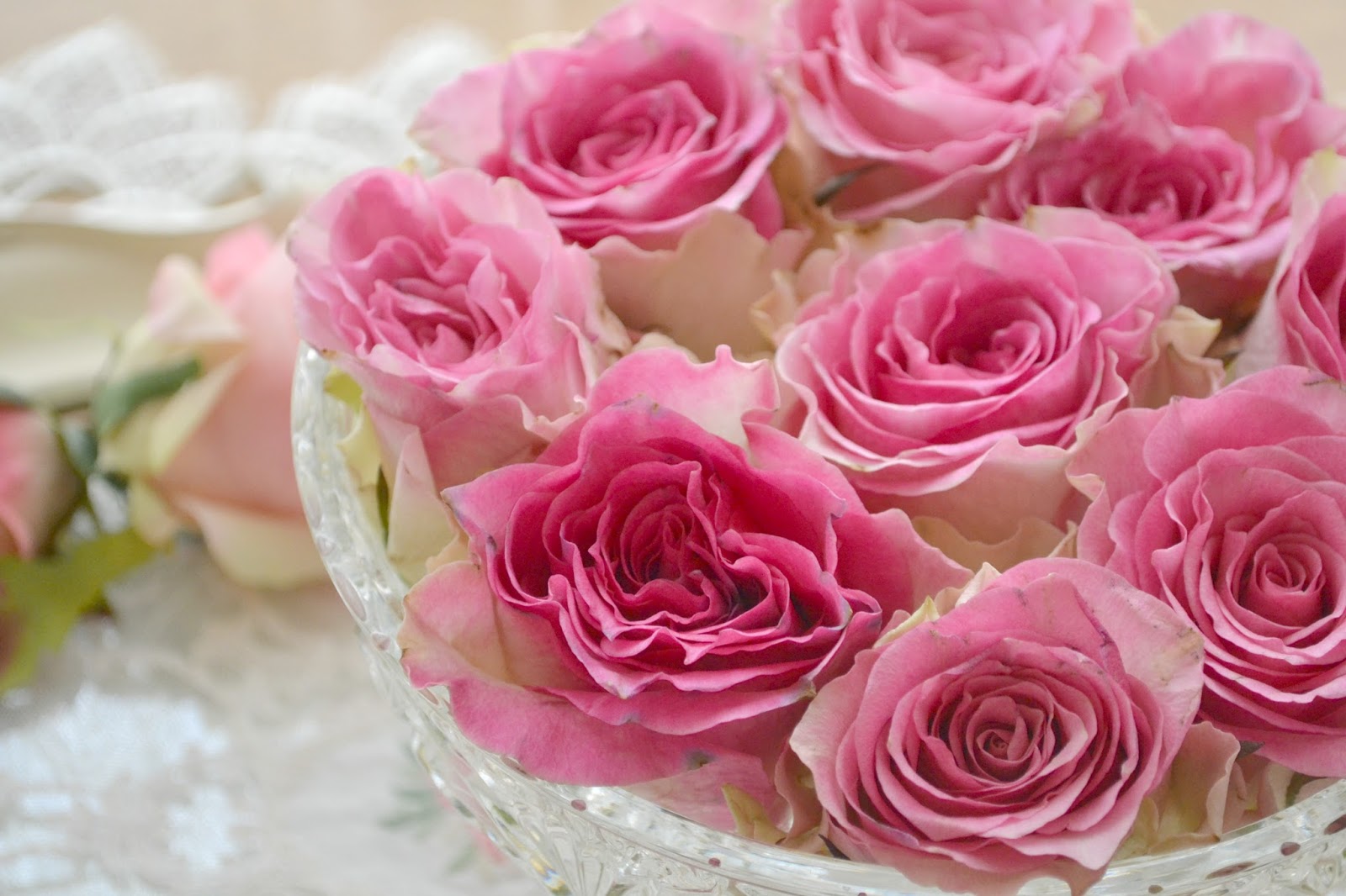 Jennelise: Pretty Pink Roses