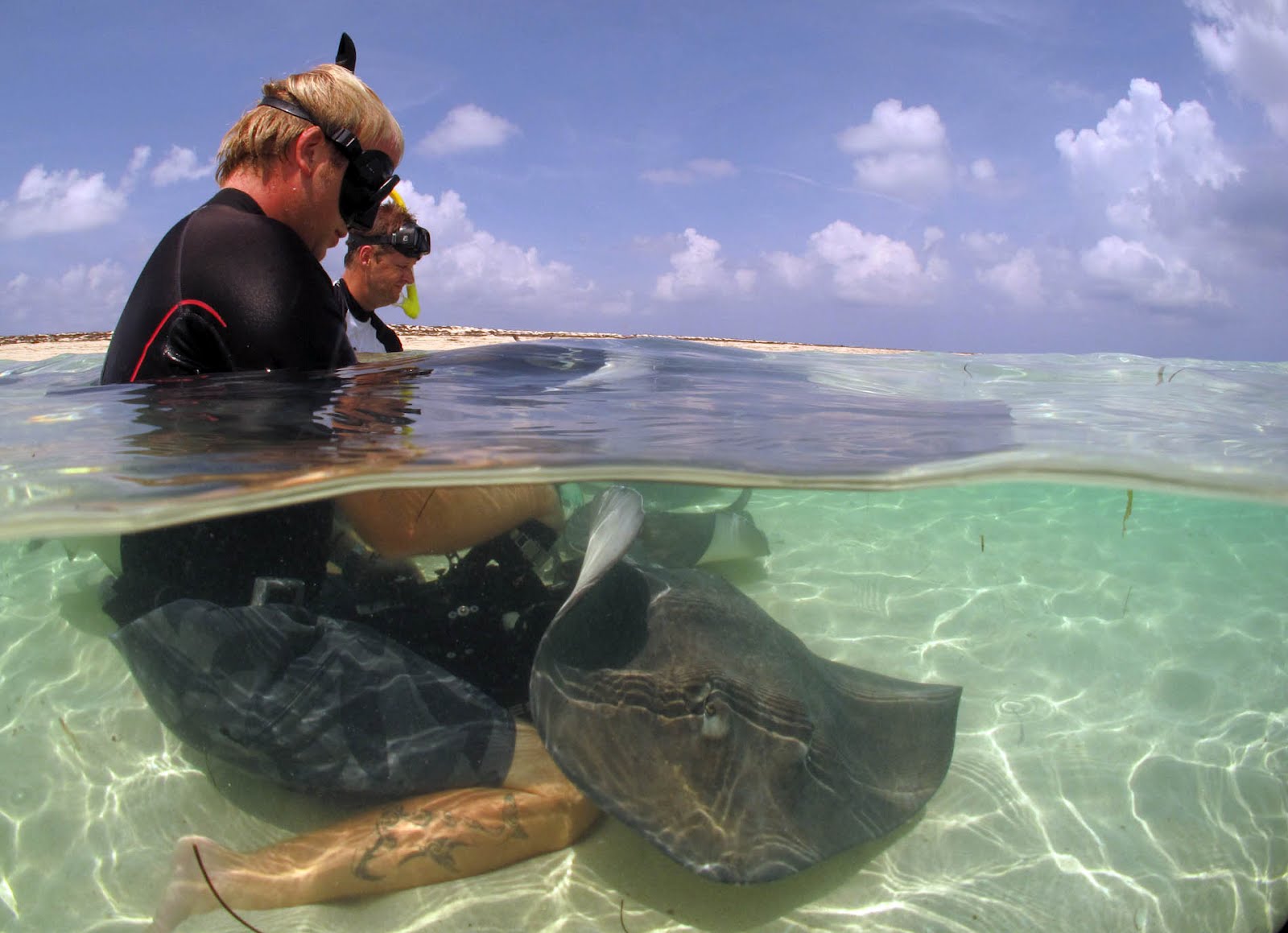 THE ADVENTURES OF SHARK GIRL : Bimini Blast: Our STAYcation Part II
