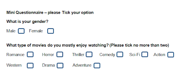 VIMK Media Studies AS: Mini Questionnaire