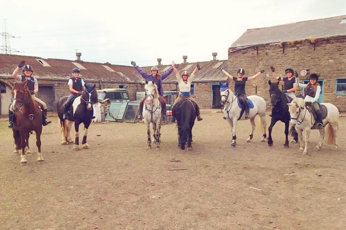 Poolsbrook Farm: Livery