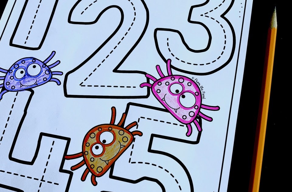 Spider Number Writing | From the Pond