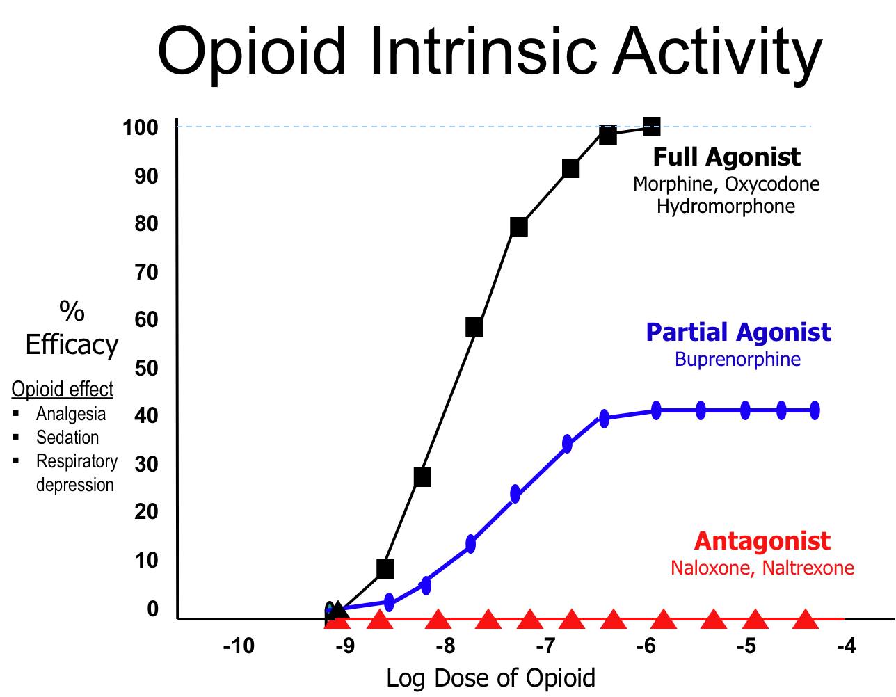 Dental Mnemonics: Effect of Opioid