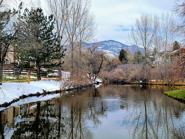 Mille Fiori Favoriti: Early Spring in Colorado
