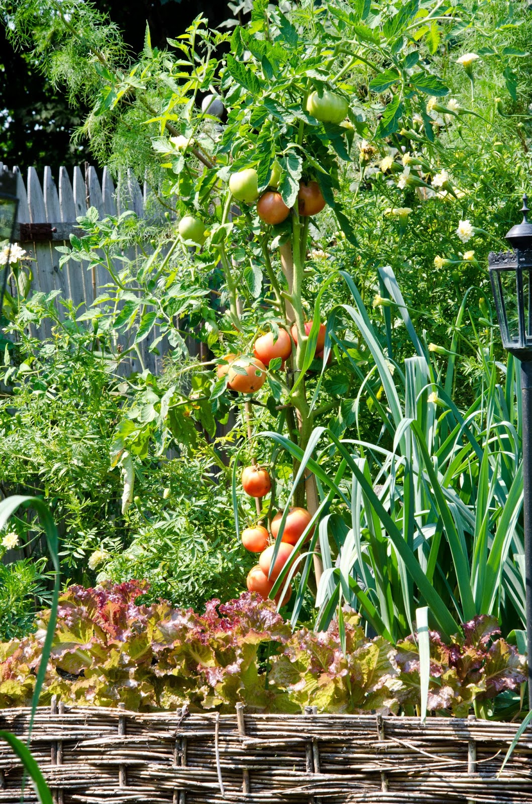 4 Favorite Garden Seed Sources | The Devine Life