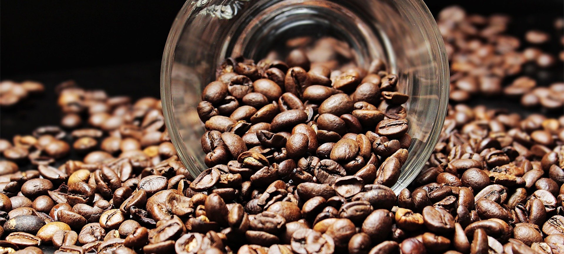 Inicia la cata de café Geisha ~ MELODIJOADELITA