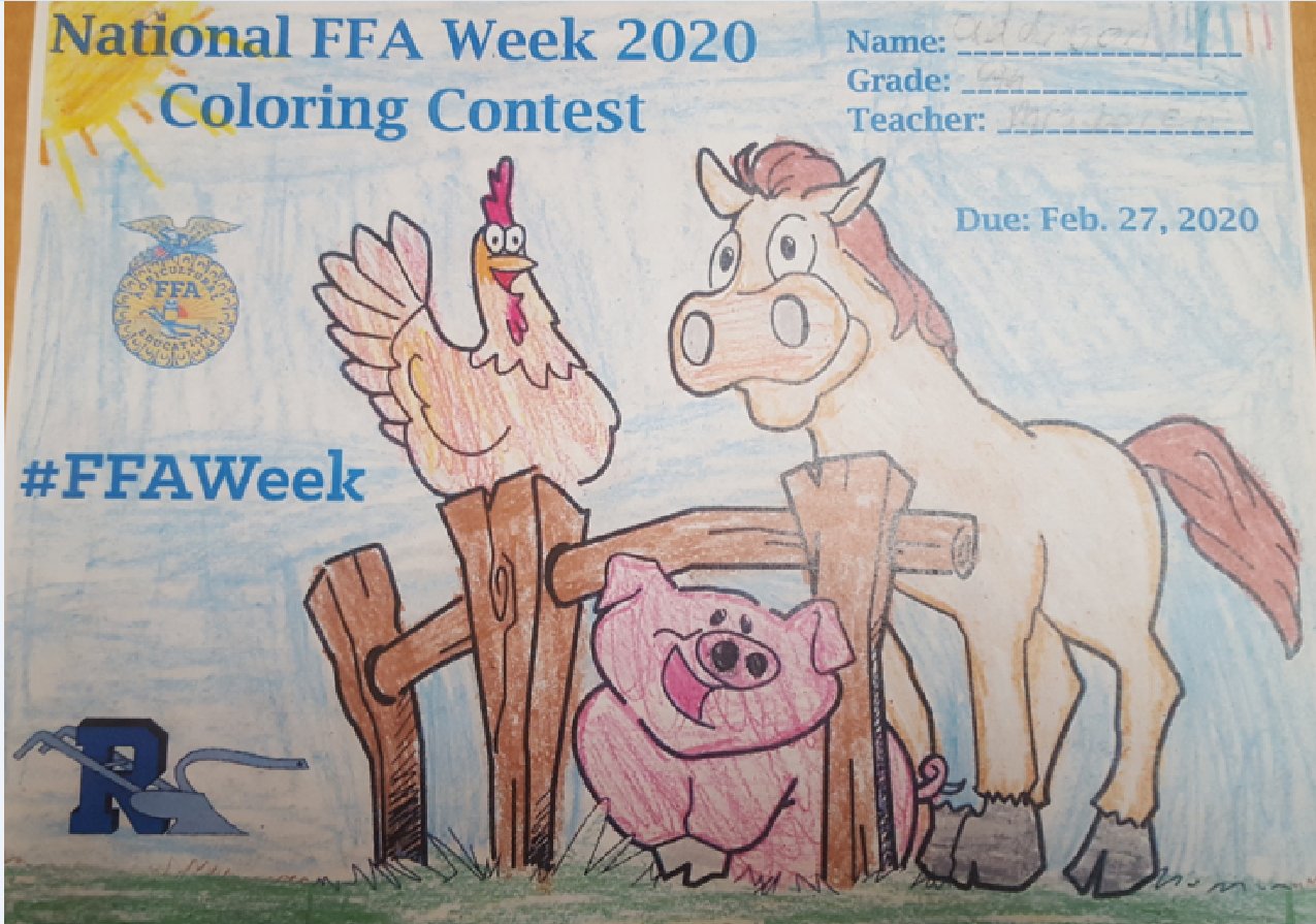 Roscoe Hard Times: Roscoe Primary Election Results