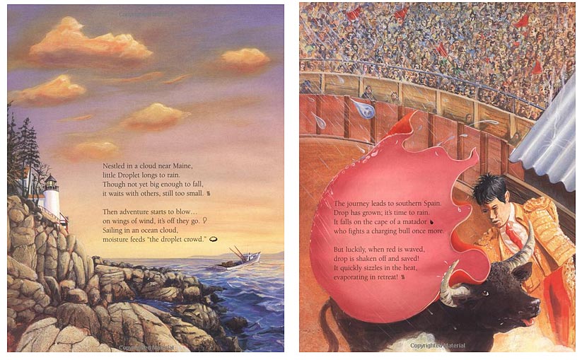 Matching Books: Pick a Genre!: Science: Following the Water Cycle