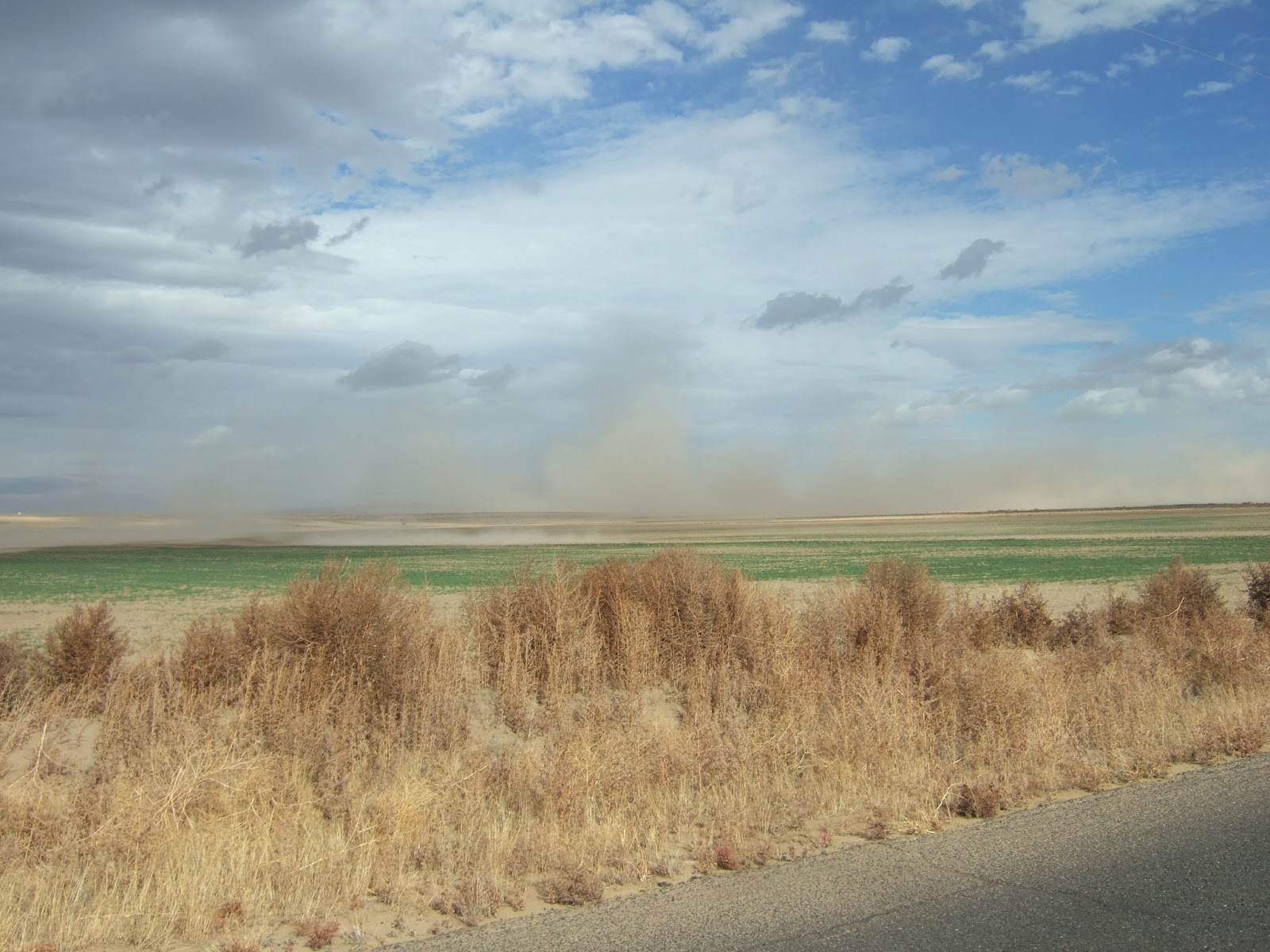Reading the Washington Landscape: Dust Blow