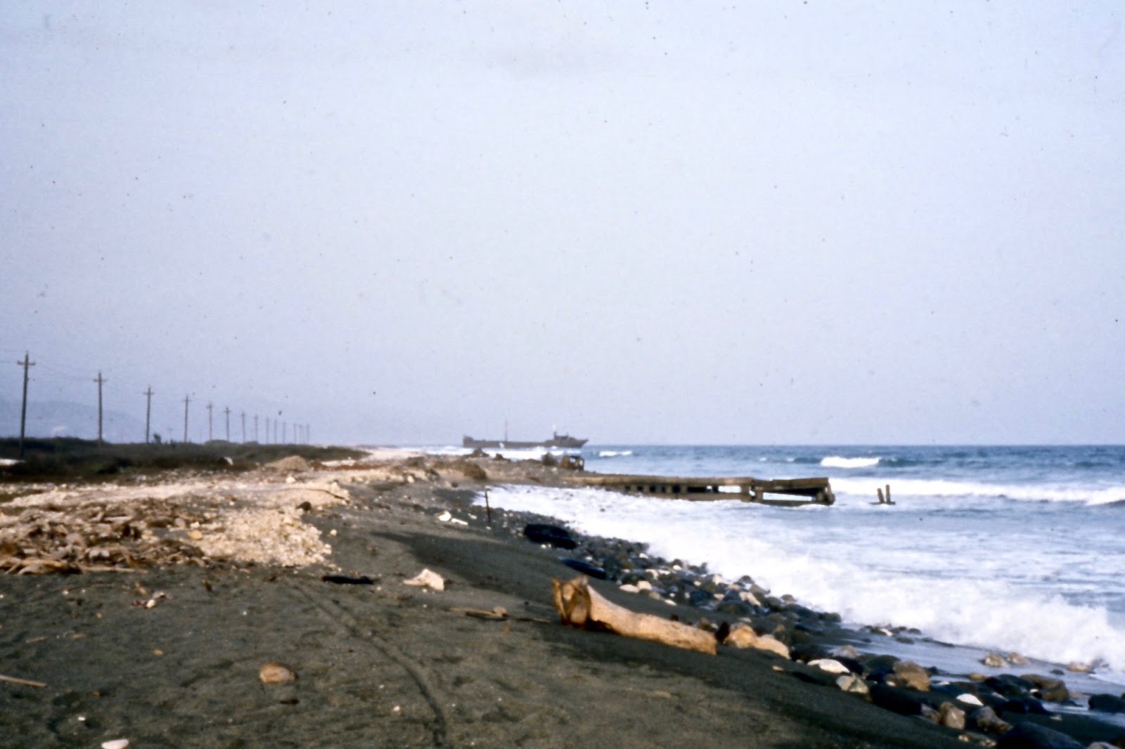 The Memory Wanderer: Palisadoes