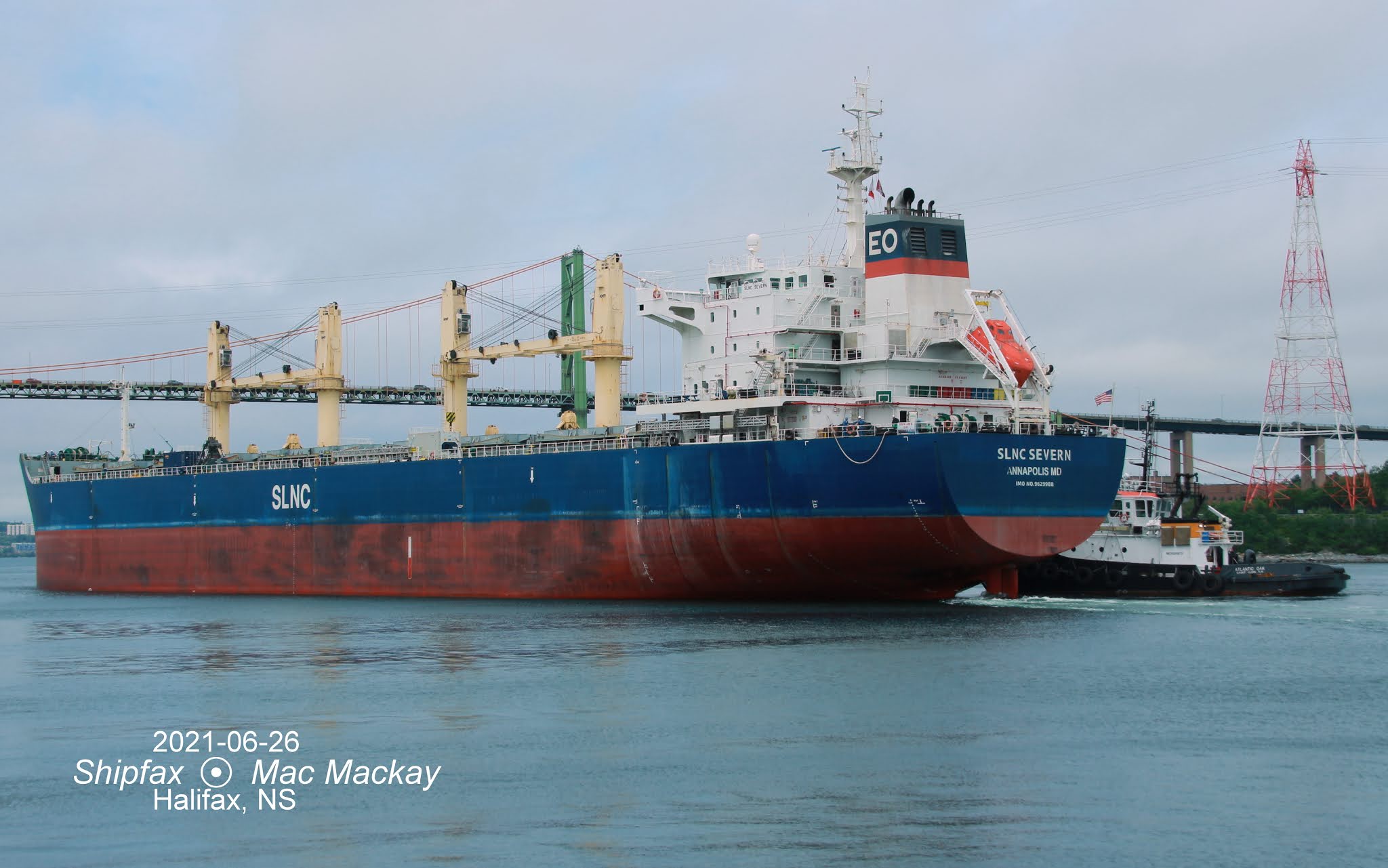 Shipfax: More bulkers