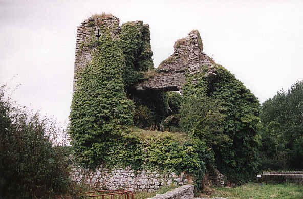 Cultura Dita: Castelos da Irlanda : Condado de Carlow