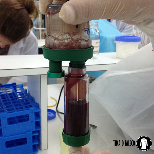 Hemocultura - Sistema Hemobac Trifásico (Probac do Brasil®) - Tira o Jaleco