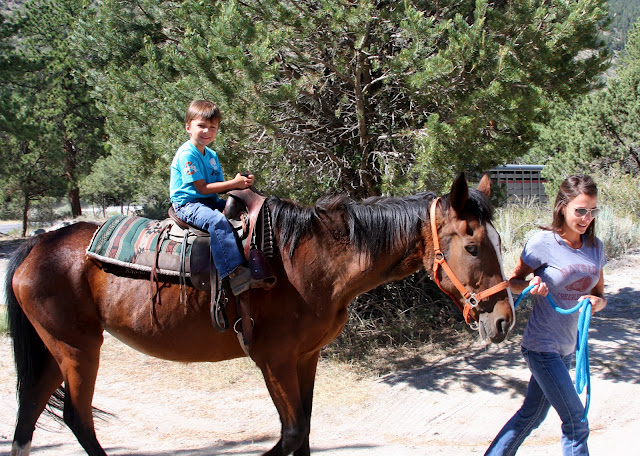 Katie's Keepers: Deer Valley Ranch
