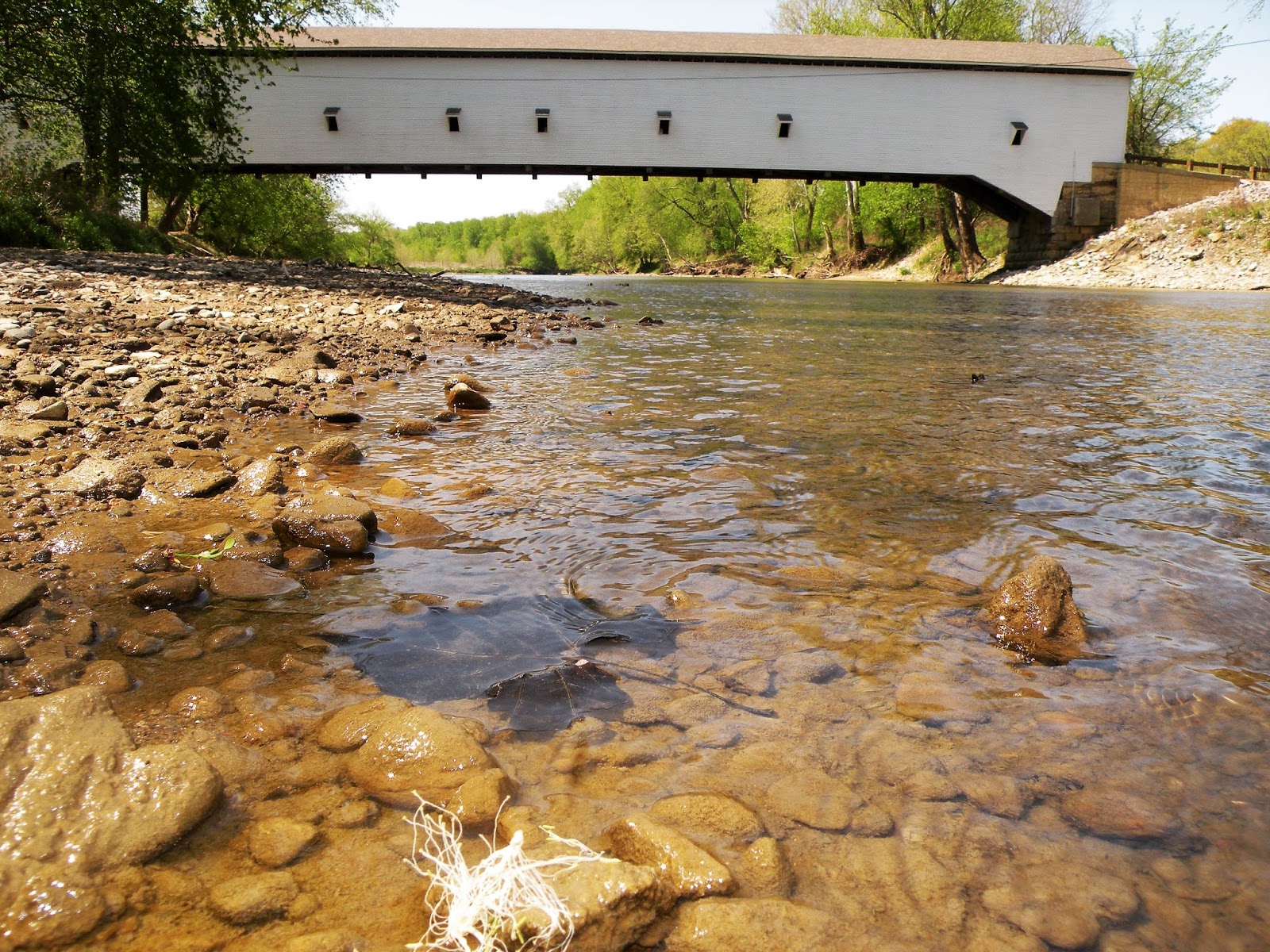 Bridges of Indiana's Counties - Parke Co. #37 Jackson (3/31)