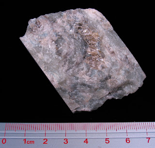 Poppular Photography: Fluorescent Wernerite (Scapolite)