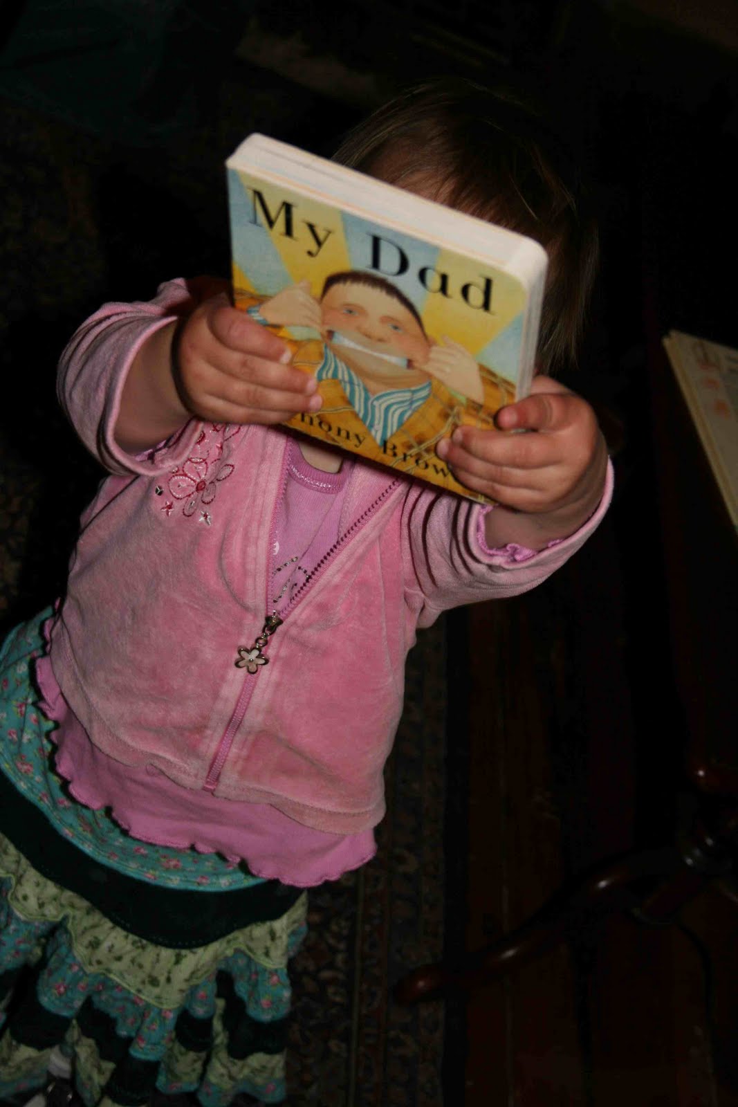 Literacy, families and learning: Your Baby Can Read – Part 3