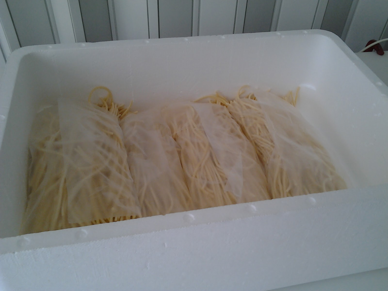 PASTA FRESCA FREEZER: PASTA FRESCA FREEZER Vaschette da 6 kg