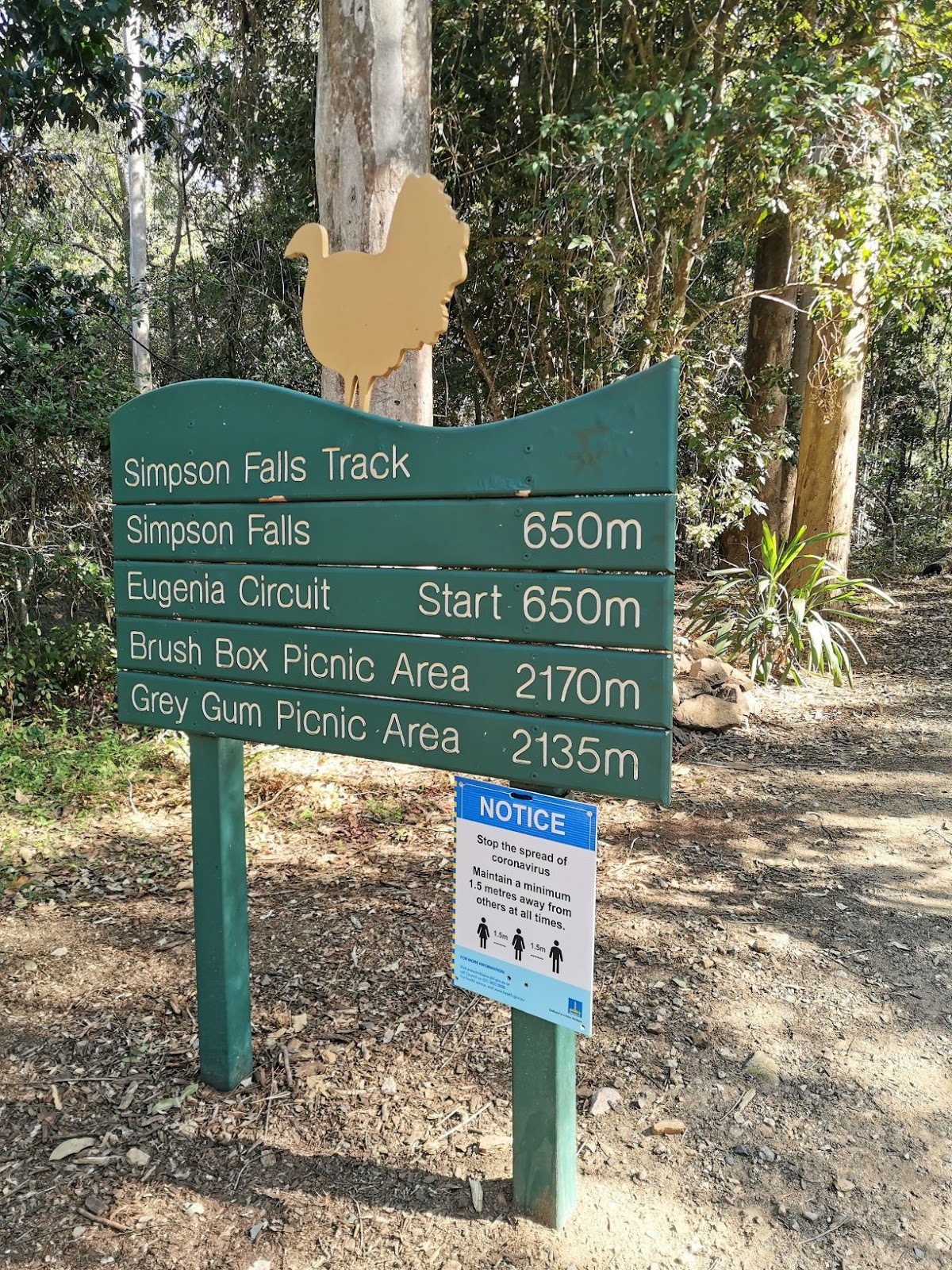 kenwee: Just You and Me, Simpson Falls Track, Mt Coot-tha