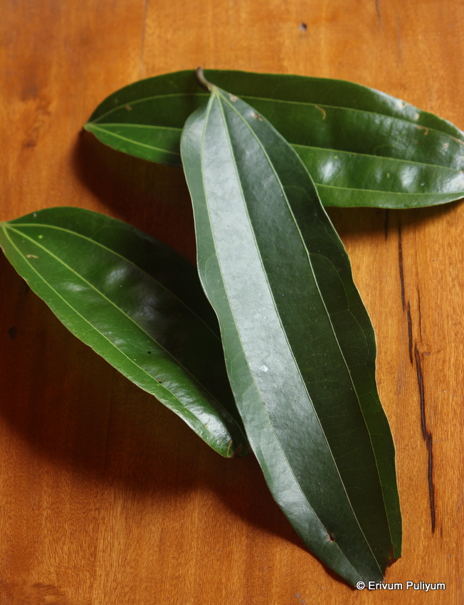 Erivum Puliyum: Chakka Kumbilappam (Step by Step Pics) | Vazhana Ila ...