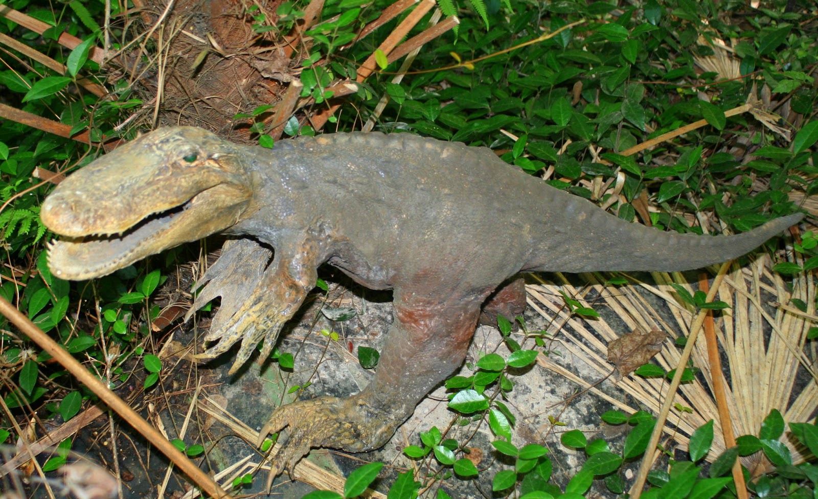 The Carpetbagger: The Abita Mystery House