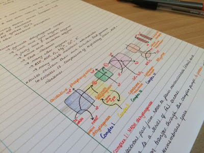13 Pretty Pictures Of Class Notes That Will Inspire You To Actually ...