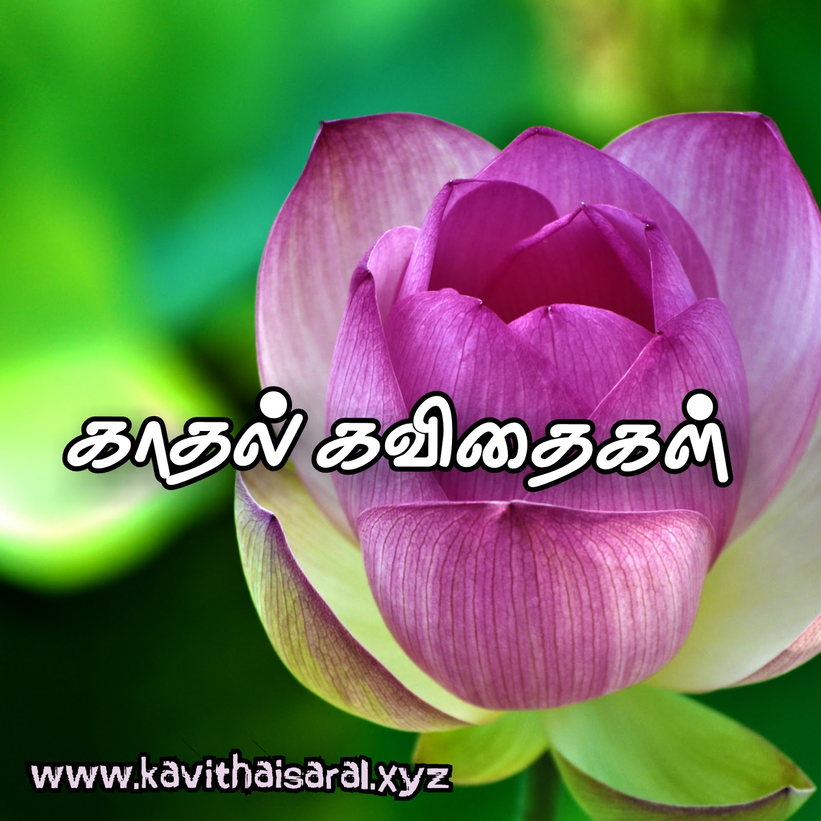 Best Kadhal kavithaigal - சிறந்த காதல் கவிதைகள்