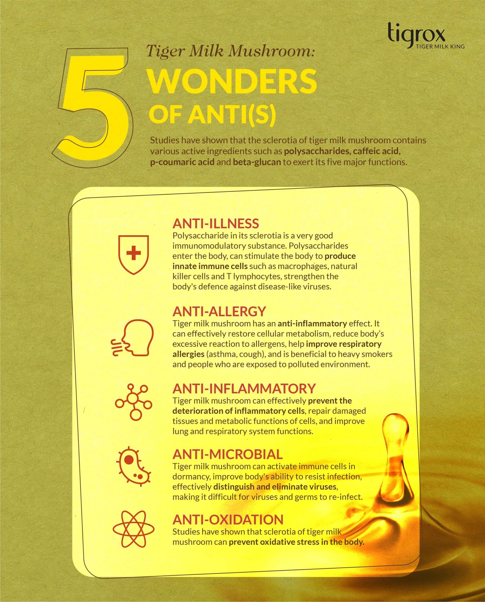 KEEP YOUR LUNGS HEALTHY WITH TIGER MILK KING FROM WELLOUS - TIGROX ...