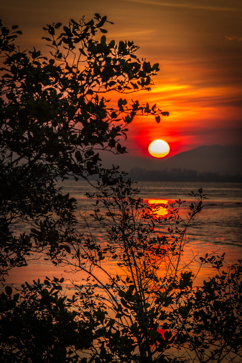 50 Most Beautiful Sunset and Sunrise Photography