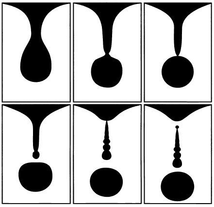 Drops, Dynamics, and Daisies : Nature's Numbers Chapter 9 | Science ...