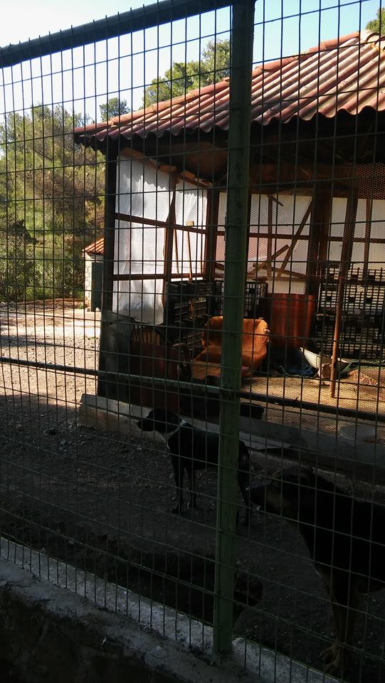 Καταγγελία αναγνώστριας για το Πάρκο Δεξαμενής (Εικόνες) » loutrakiblog