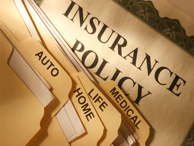 Perfect Guidelines for Correct Insurance Policy - 7th Fold Media