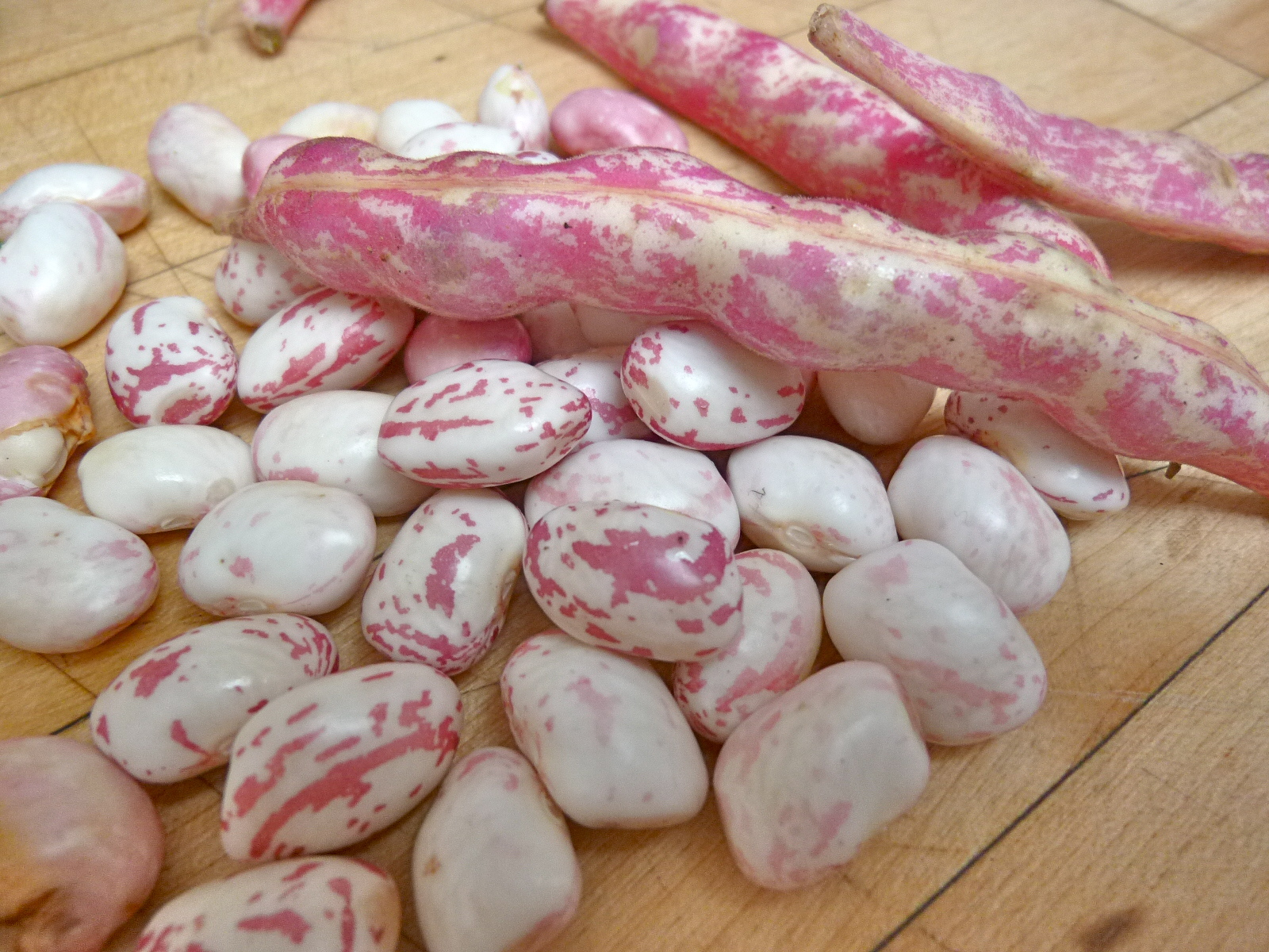 Fun and Interesting Farmers' Market Finds & August's LOL Food Blogger ...