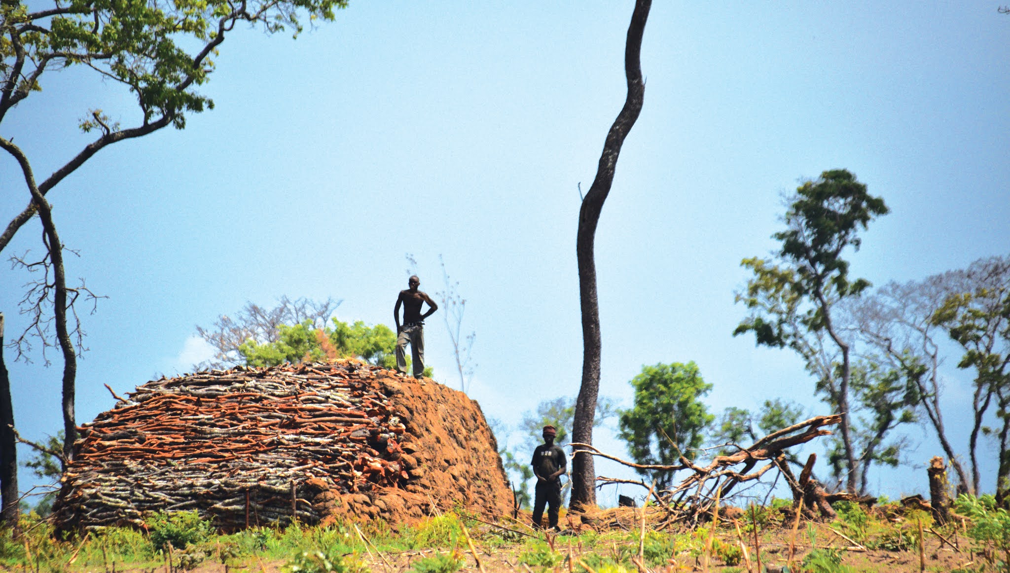 Burning our future: In Mumbwa GMA trees are disappearing, fast