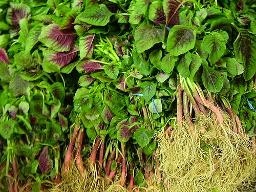 Cara Mudah Mengatasi Keputihan