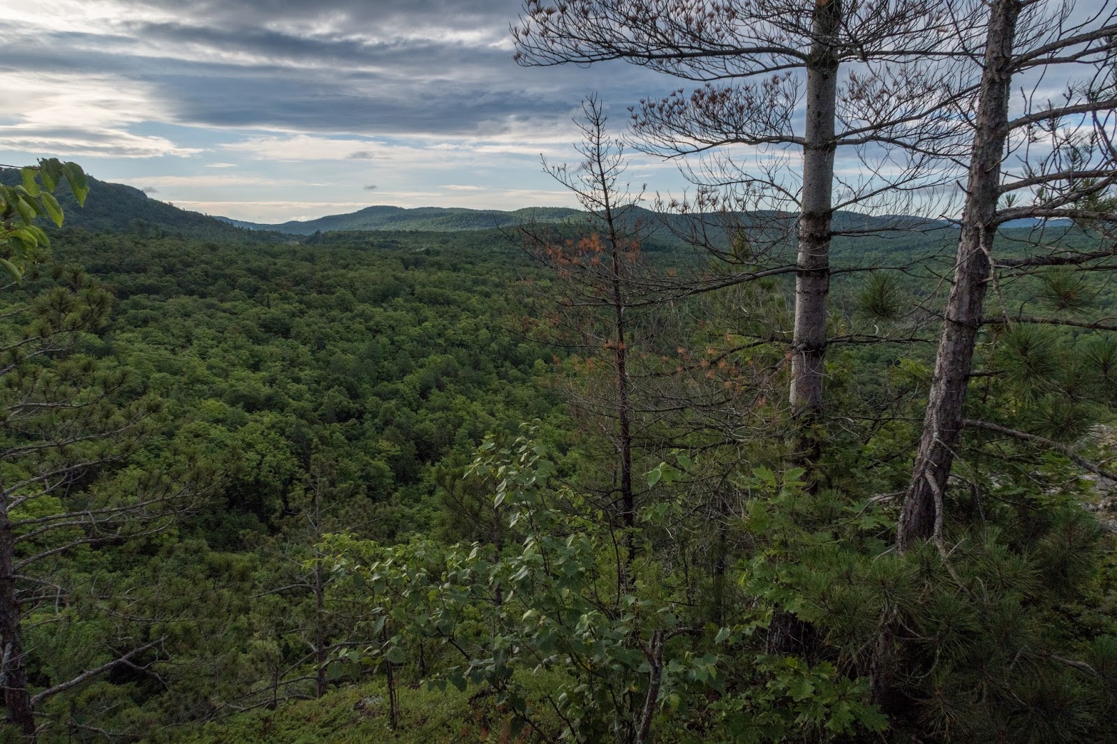 Eric's Hikes: Voyageur Trail: Harmony and Stokely Trails