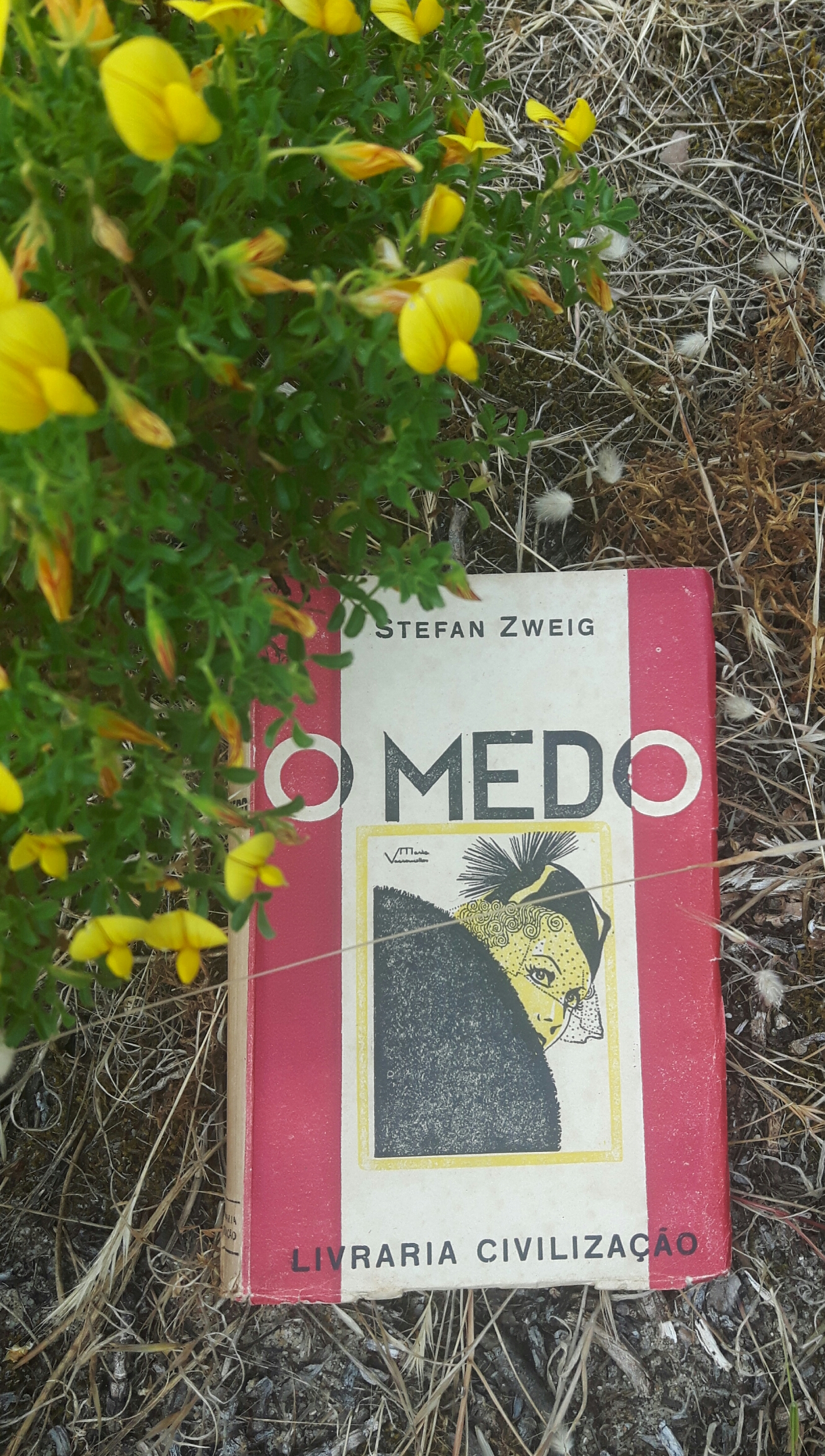 de Roma a Londres: Sobre o livro «O Medo» de Stefan Zweig. Tradução ...